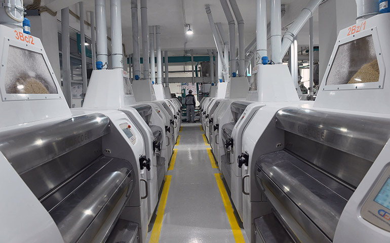 Wheat Flour Milling Process - COFCO Global