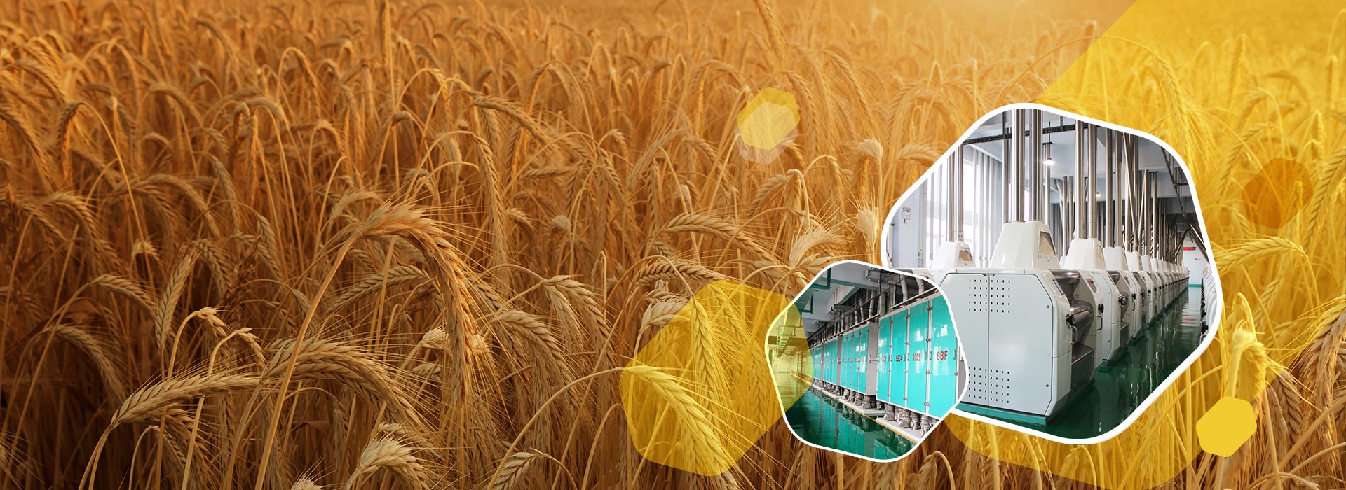 Wheat Flour Milling Process - COFCO Global